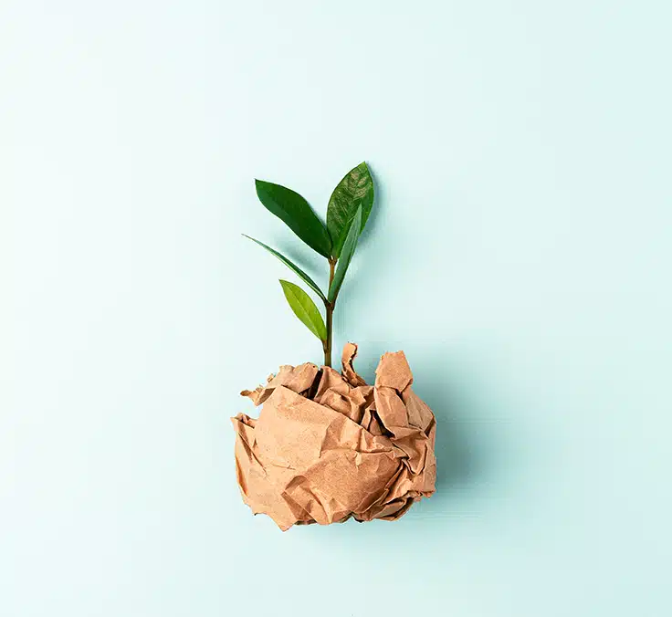 Recycling one ton of paper saves up to 20 trees - Mapfre