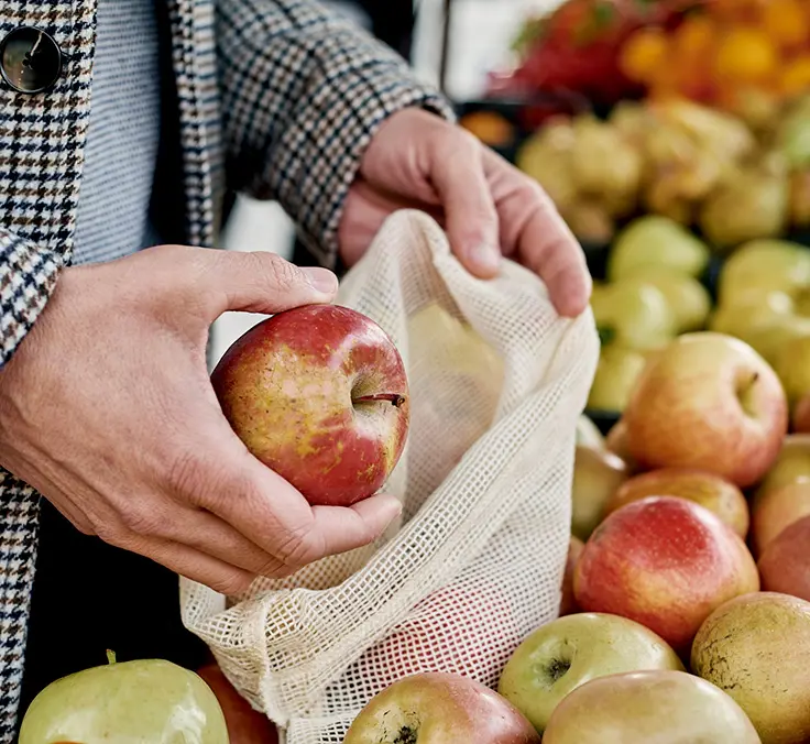 How To Contribute To Sustainability Noticias Mapfre